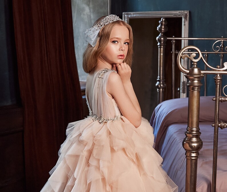 Delicate Tulle Swan Dress With Layered Skirt. the Dress is - Etsy