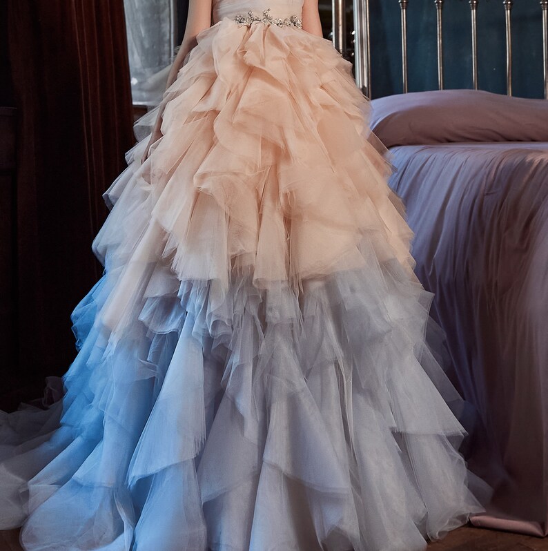 Delicate Tulle Swan Dress With Layered Skirt. the Dress is - Etsy