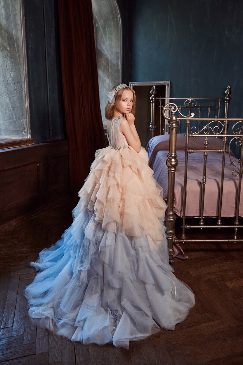 Delicate Tulle Swan Dress With Layered Skirt. the Dress is - Etsy