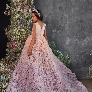 Dress for a Beauty Pageant. Tulle Puffy Dress With Beaded Embroidery on ...