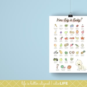 How Big is Baby Fruit Chart, OBGYN Art Pregnancy Education, Midwife ...