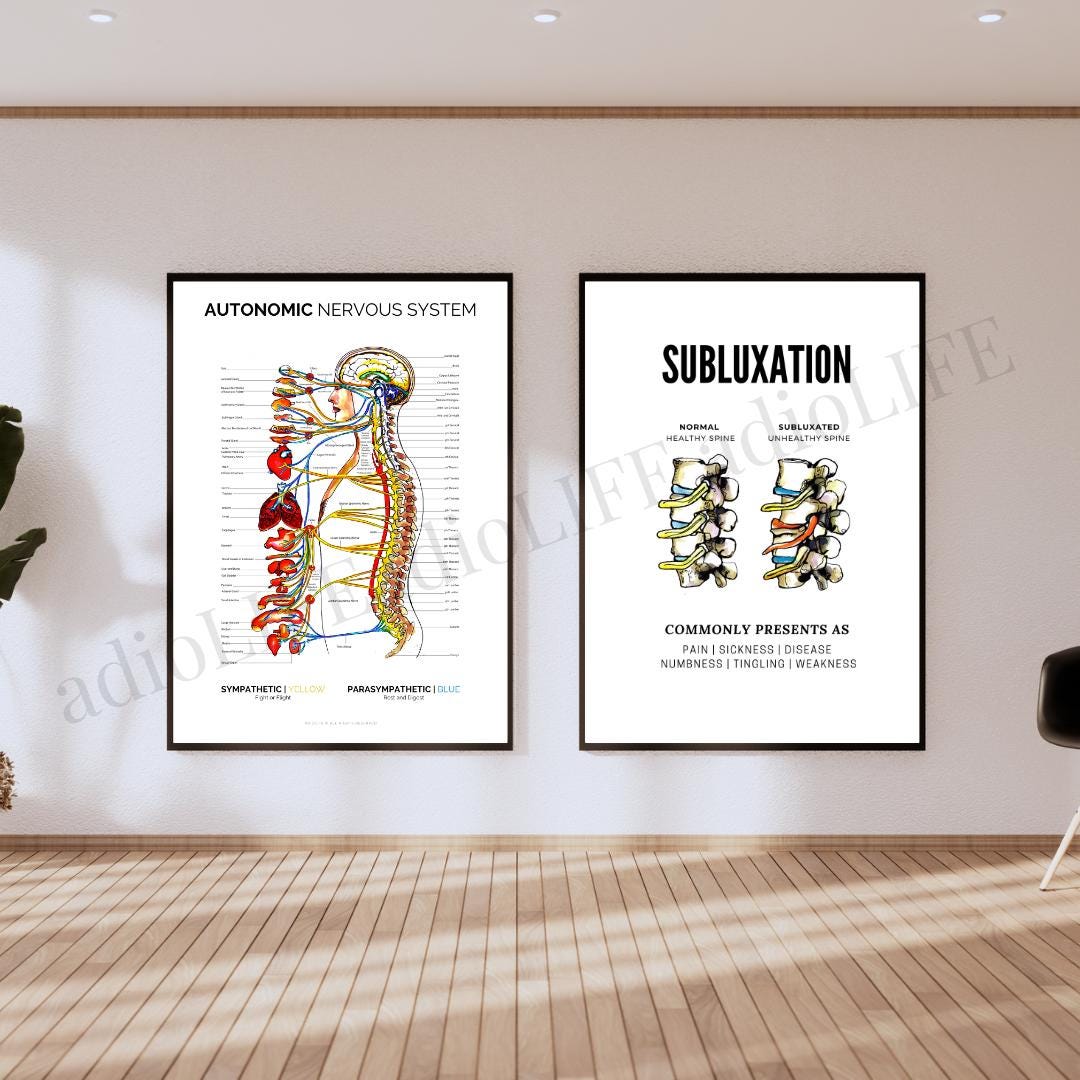 Spinal Nerve Poster ANS Chart, Chiropractor Education, Autonomic ...