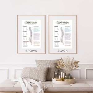 Subluxation Poster for DC, Spinal Nerve Chart, Chiropractor Education ...