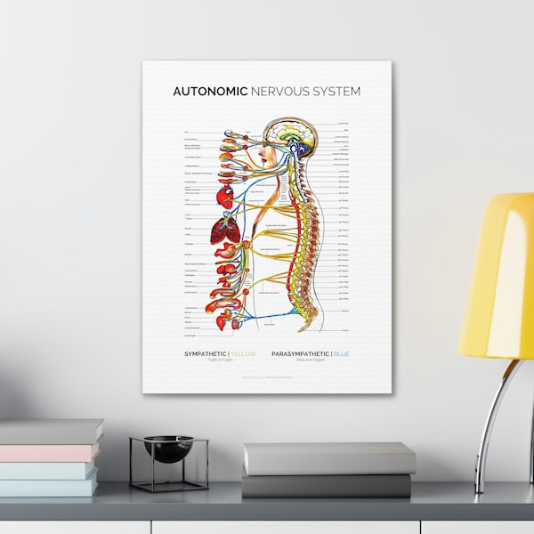 Nervous System Canvas - Etsy