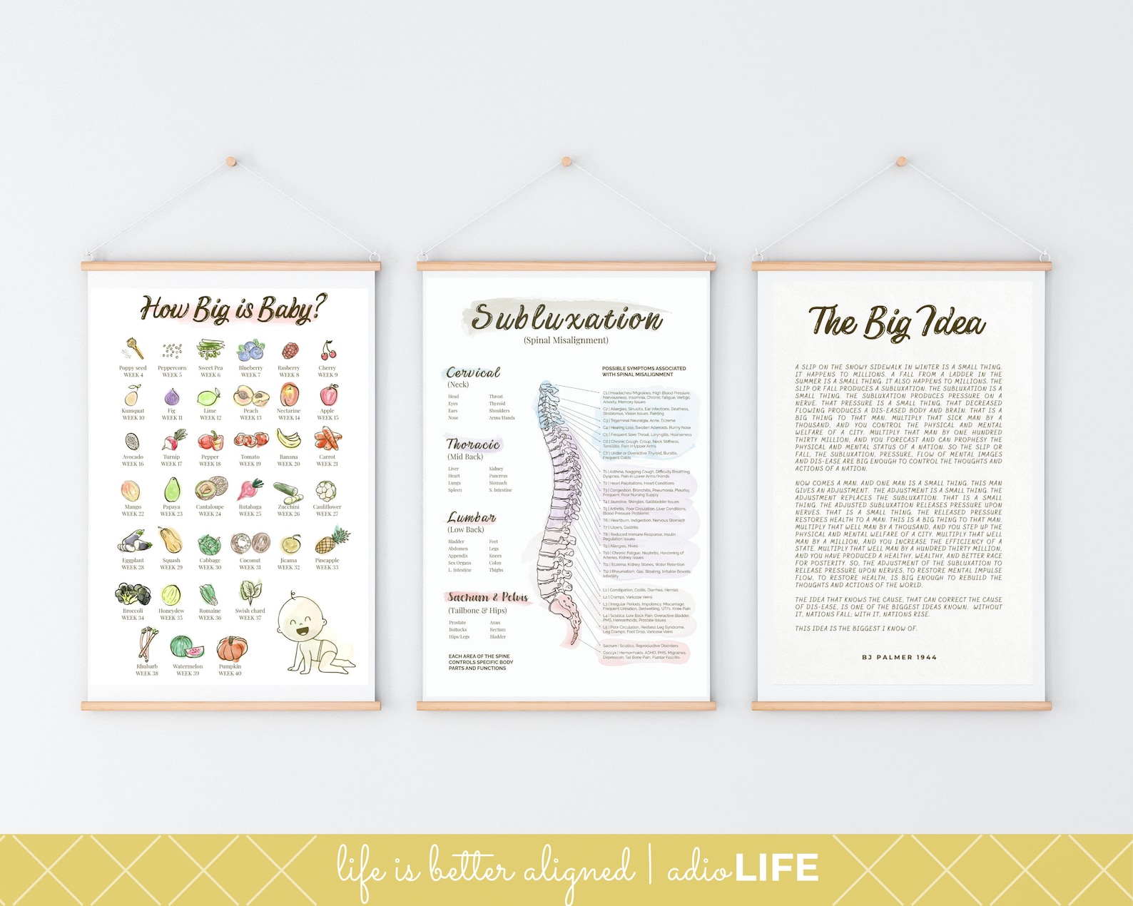 How Big is Baby Fruit Chart OBGYN Art Pregnancy Education - Etsy