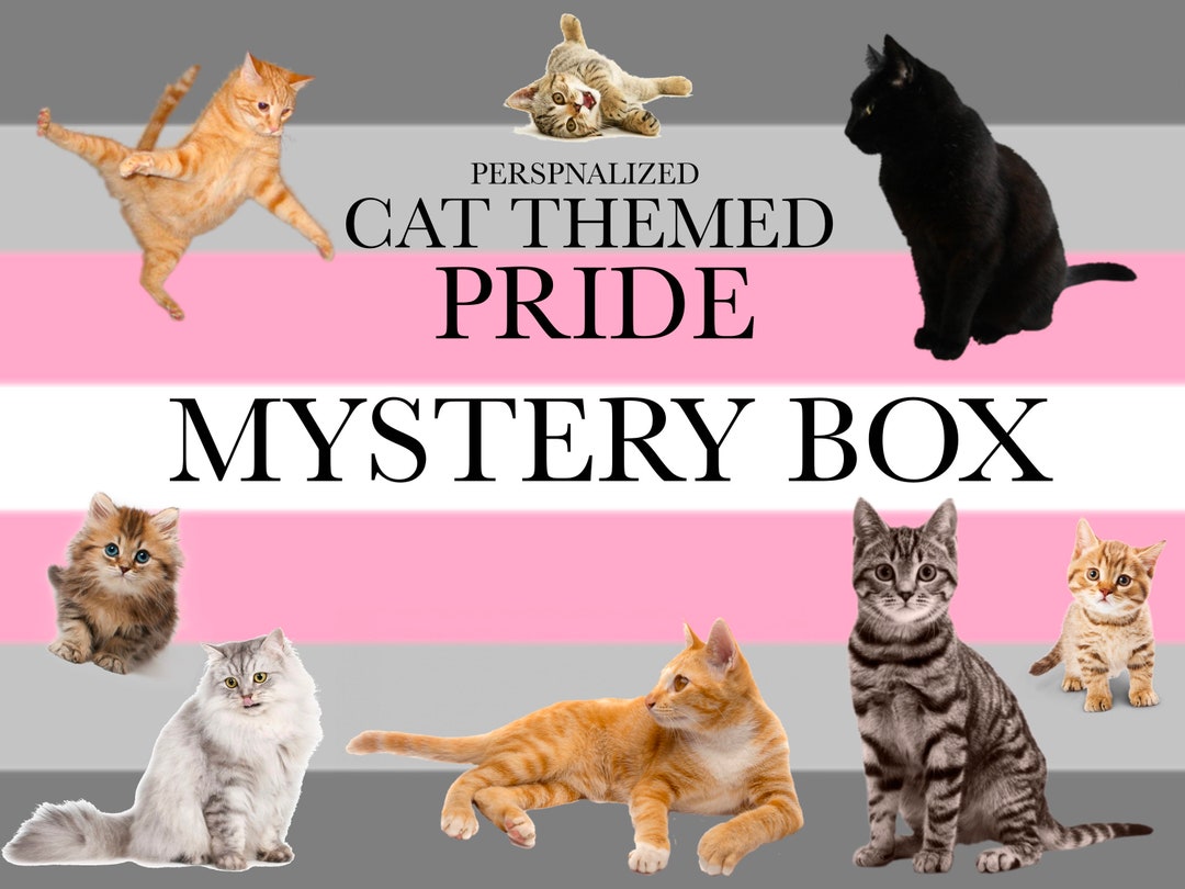 Personalized Cat Themed Demigirl Pride Mystery Box - Etsy