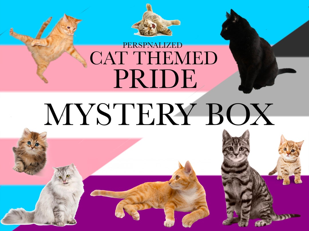 Personalized Cat Themed Asexual and Transgender Pride Mystery Box ...