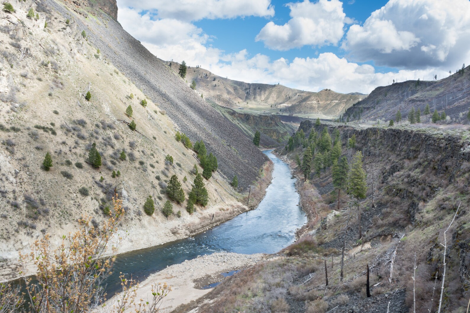 Boise River Print, Landscape Photograph, Canvas Art, Wall Art, Nature ...