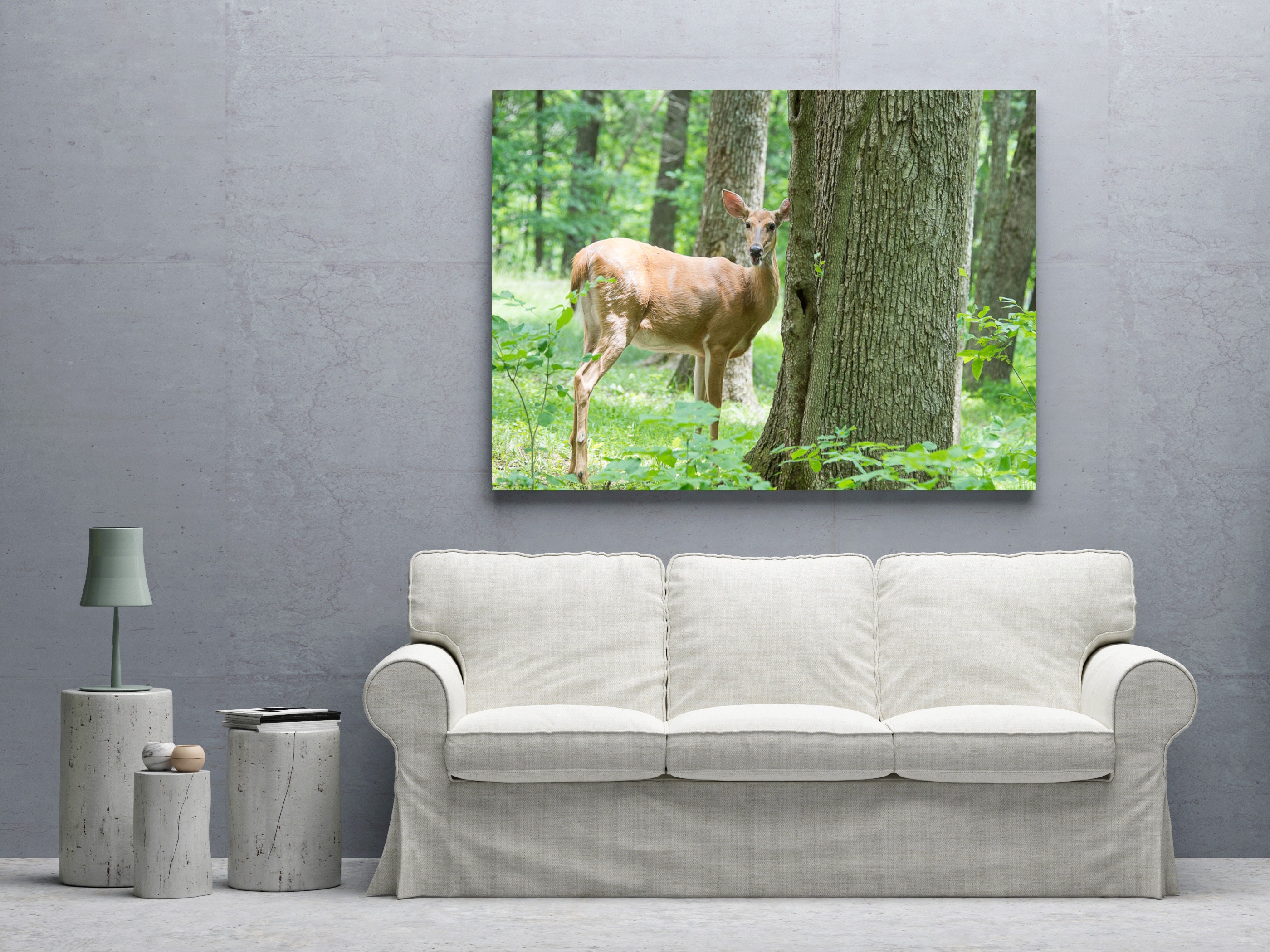 Deer Photograph, Small Doe Picture, Kentucky Wildlife Wall Décor, Wall ...