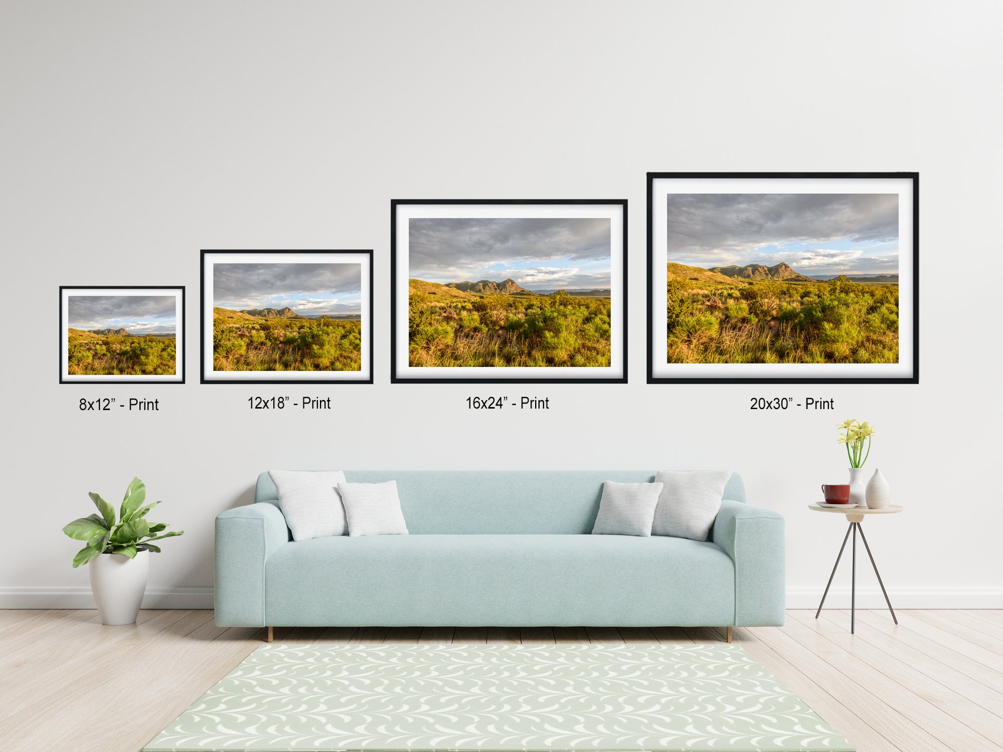 Texas Desert Landscape Sunset