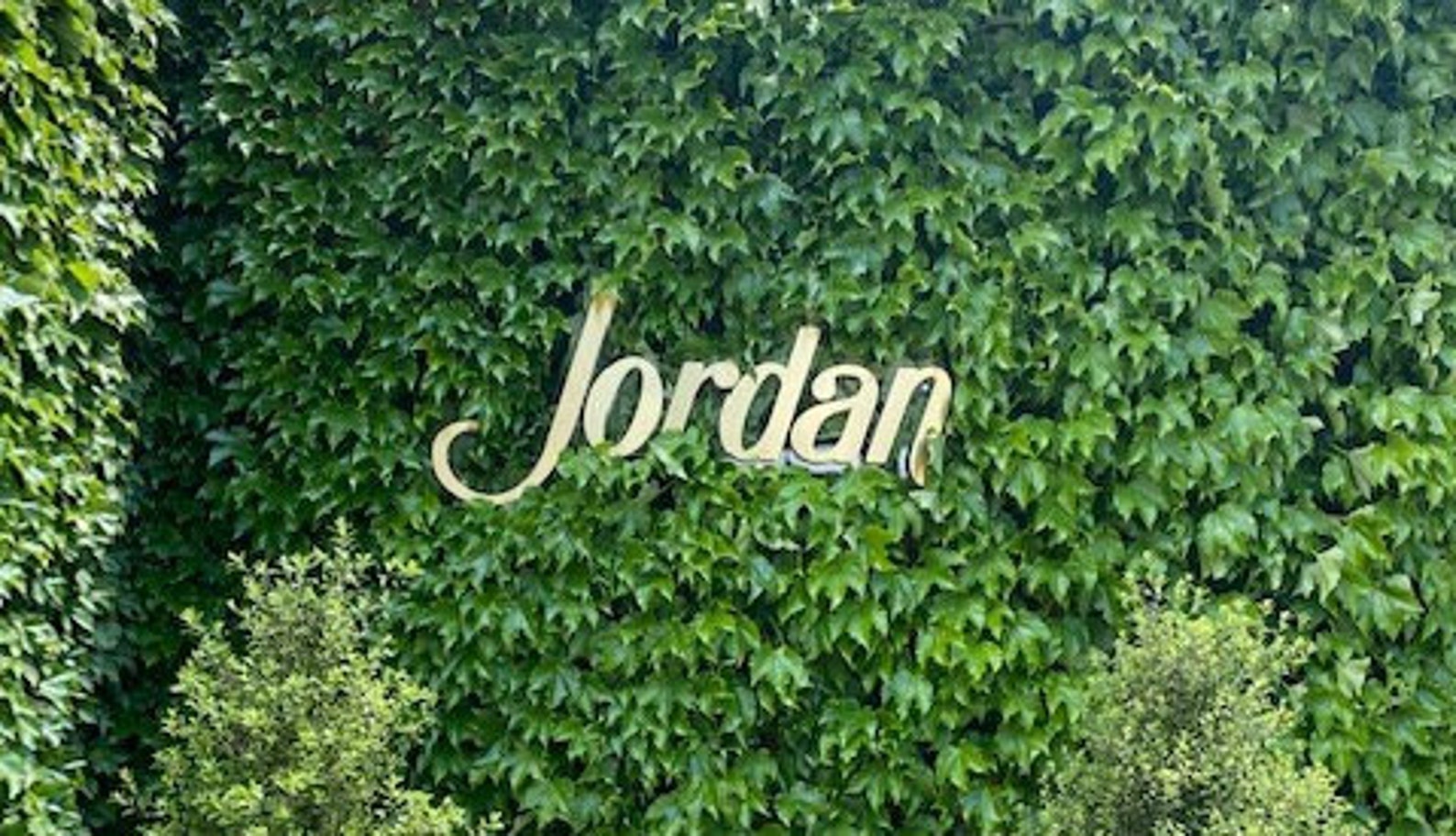 Custom Logo Signage Business Sign Custom Custom Plaques | Etsy