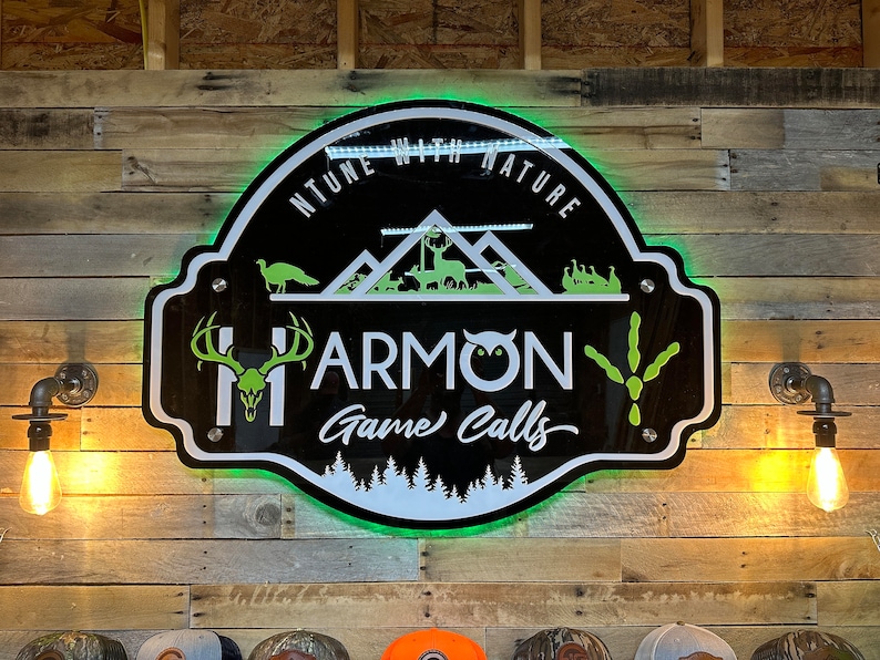 Custom 3D Acrylic Logo Sign, Custom Backlit Sign, Neon Acrylic Sign ...