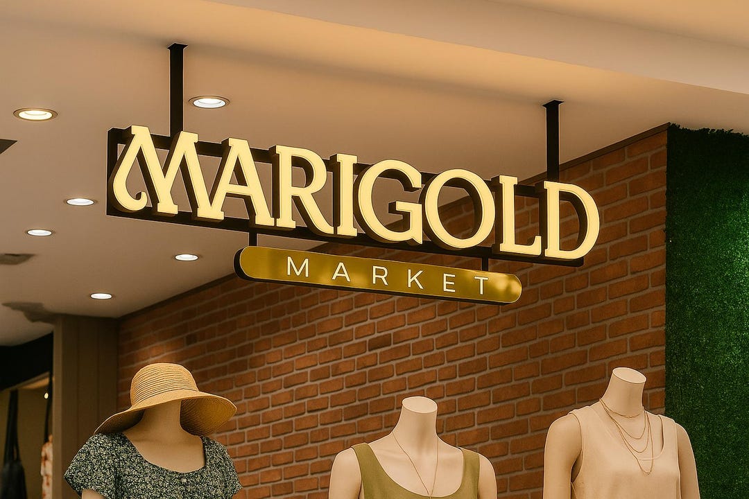 3D Front Lit LED Channel Letter Sign | Ceiling Mounted Illuminated ...