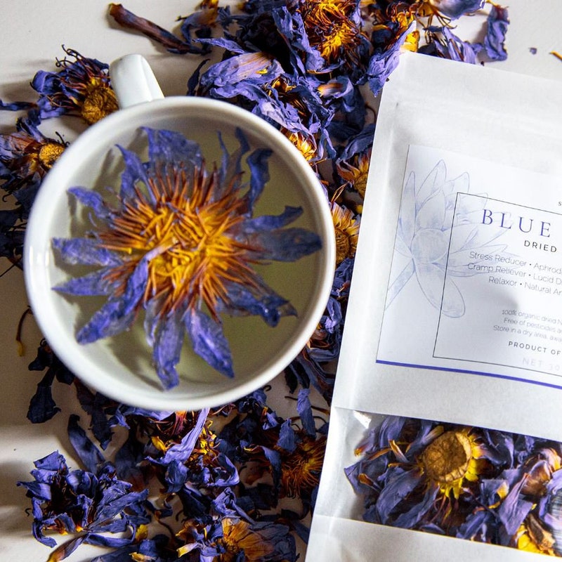 Blue Lotus Flower - Etsy