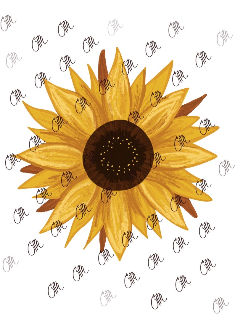 Rustic Sunflower PNG Hand Drawn Sun Flower Sunny Floral - Etsy