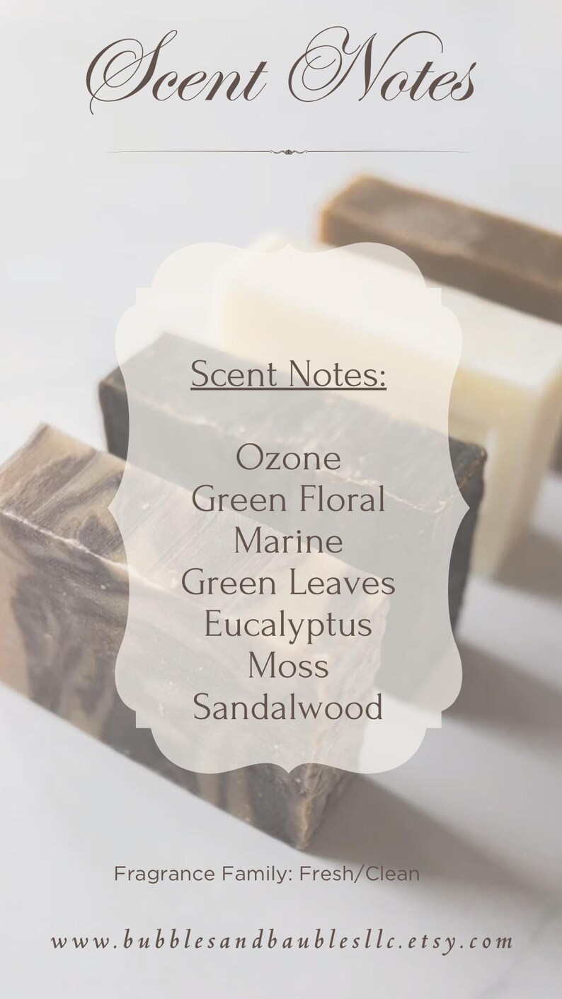 Blue Ridge Mountain Mist Soap-nature Inspired Soap, Outdoor Enthusiasts ...