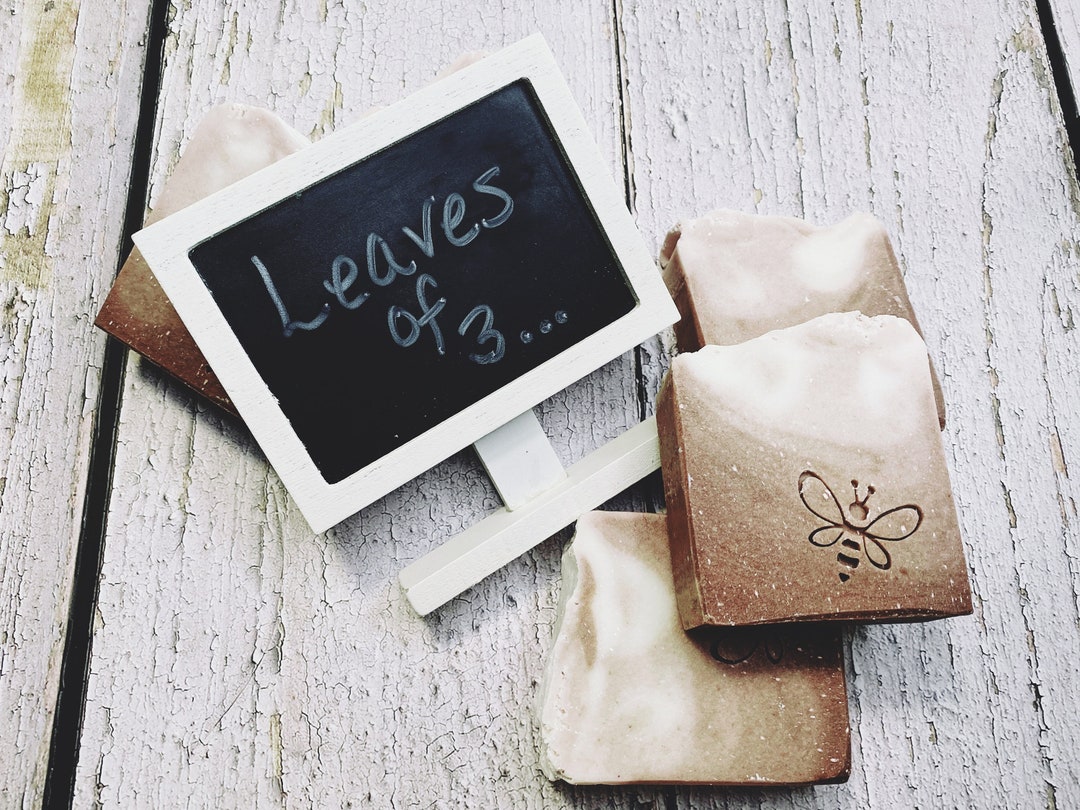 Poison Ivy Soap Bar Natural Soap Jewel Weed Oil Soap - Etsy