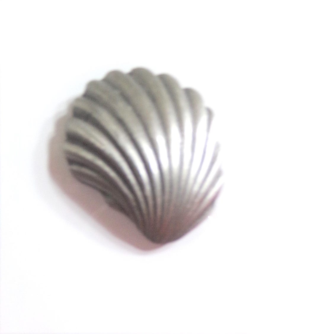 Pewter Seashell Refrigerator Magnet - Etsy
