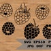 Raspberry Svg File, Berry Svg, Raspberry Files, Fruits Svg, Raspberry ...