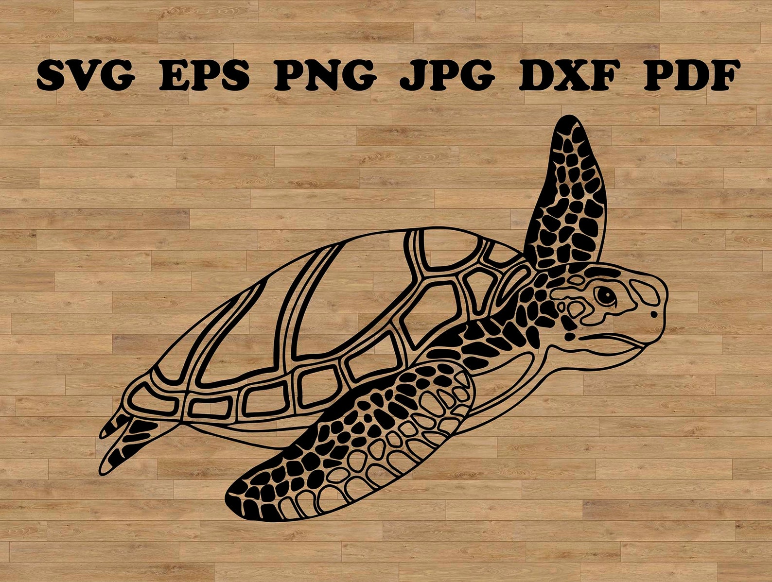 Turtle Svg Ocean Animal Svg Sea Turtle Cricut Turtle - Etsy