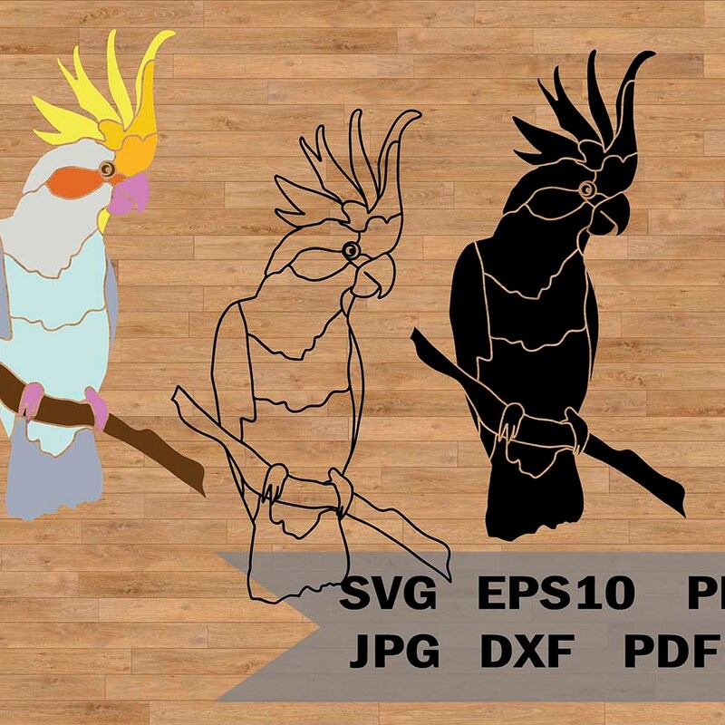 Parrot Stencil - Etsy