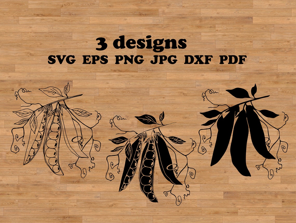 Peas Svg File Garden Svg Vegetable Svg Sweet Svg Pea Pod - Etsy