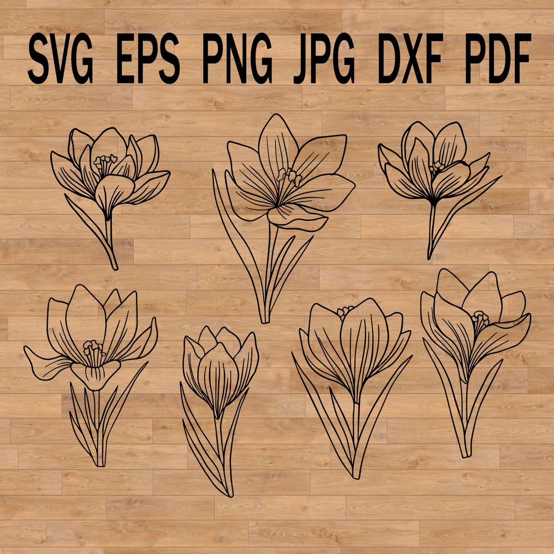 Crocus Svg File Floral Silhouette Laser File, Crocus Flower Spring Svg ...