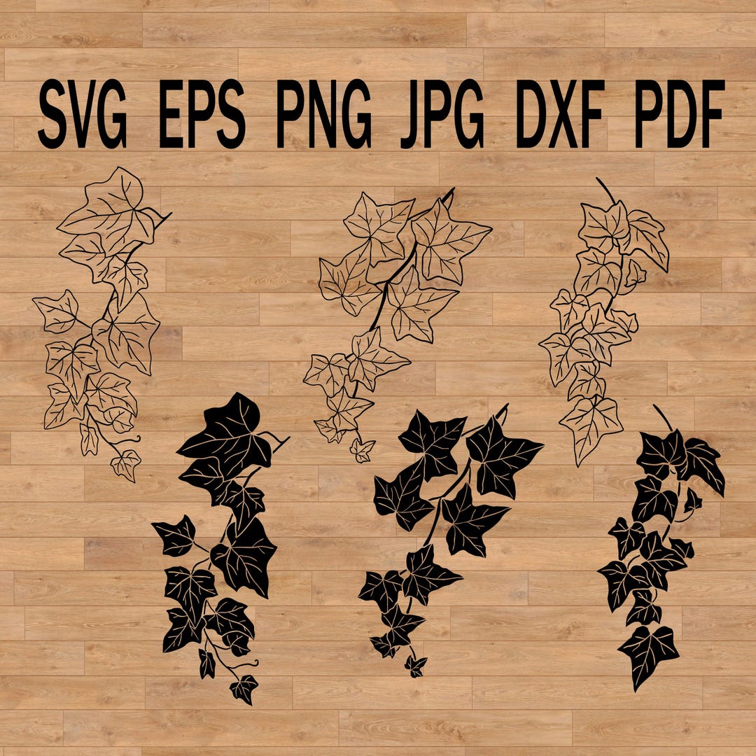 Ivy Leaf Svg, Botanical Greenery Garland Design for Postcards ...