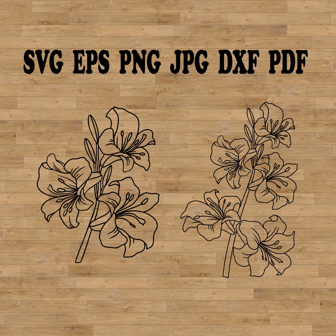 Lily Svg, Blossom Svg, Lily Flowers Svg, Lilies Bouquets, Lily Svg ...