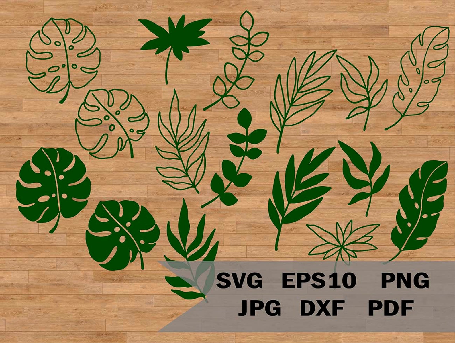 Tropische Blätter SVG, Monstera Blatt Clipart, Dschungel Palmenblatt ...