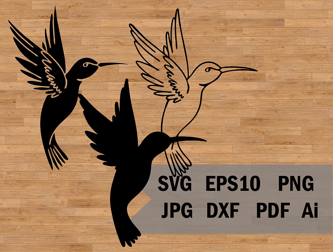 Hummingbird Svg, Bird SVG, SVG for Cricut and Silhouette, Plotter ...