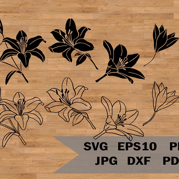 Lily Svg - Etsy