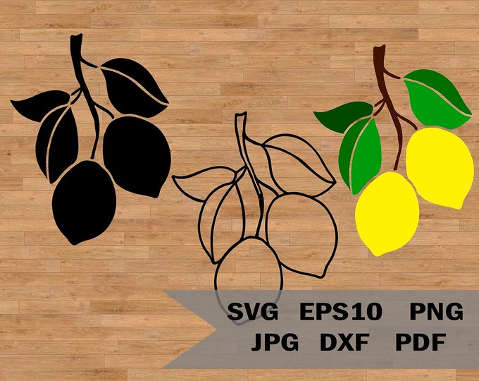Lemon Template Svg Digital Download for Cricut Silhouette - Etsy