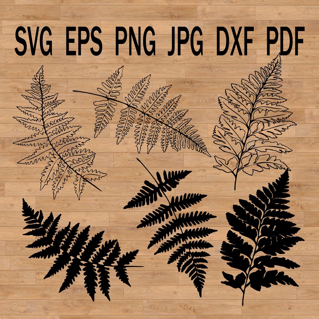 Fern Svg Plant Lover Svg Boho Svg Bundle Set Pack Tropical Leaf Svg ...