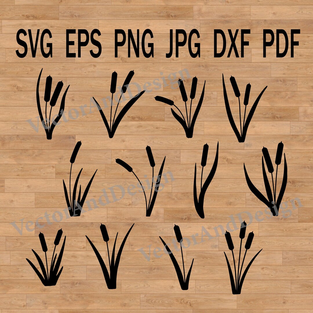 Reed Svg, Grass Drawing for Your Design, Cut File for Circuit, Cattail ...