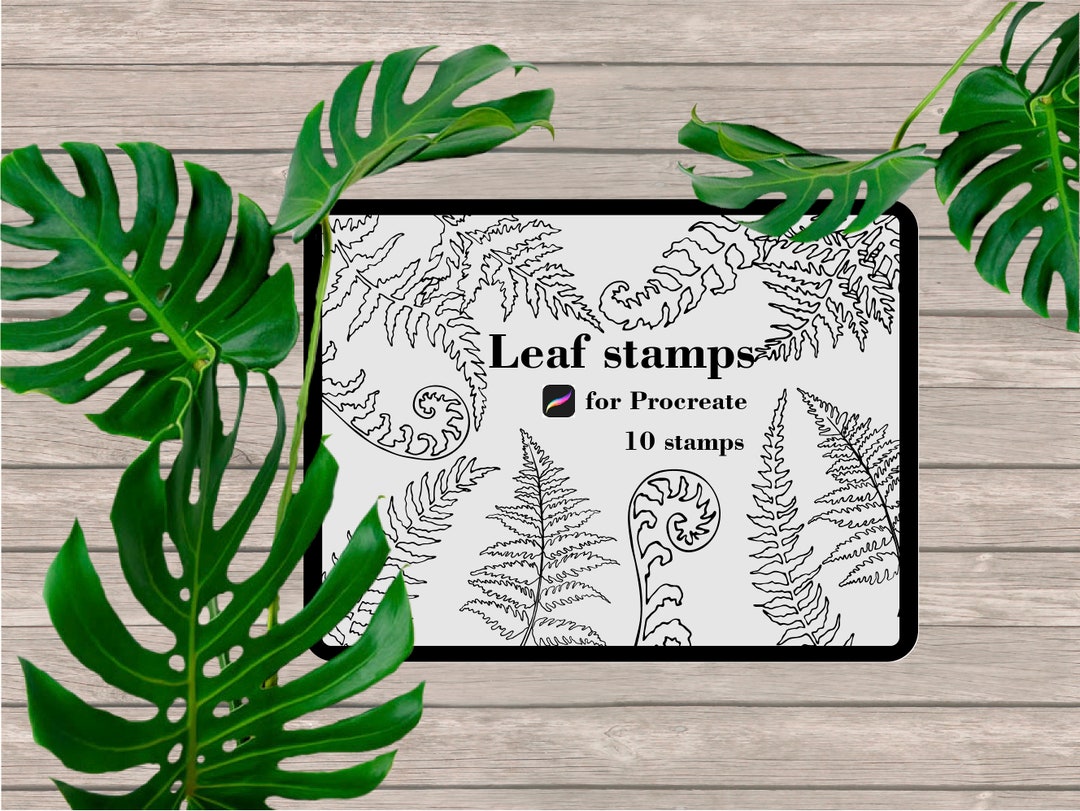 Fern Brushes, Brush Leaves, Procreate Brushes, Procreate Stamps, Stamp ...
