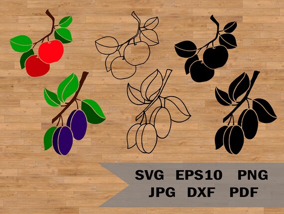 Fruit Svg File Apples Svg Plums Svg Apple Png Apple | Etsy