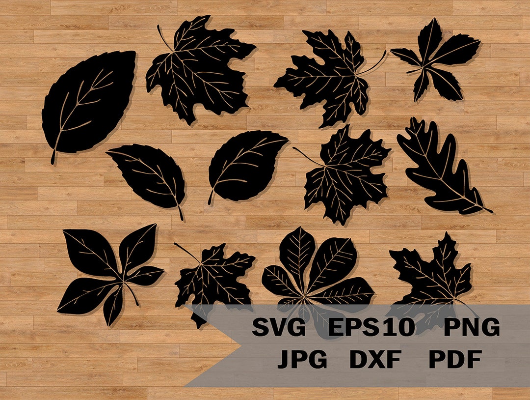 Autumn Leaves Template Svg, 12 Leaf Design, Trees Svg, Nature Svg, Cut ...