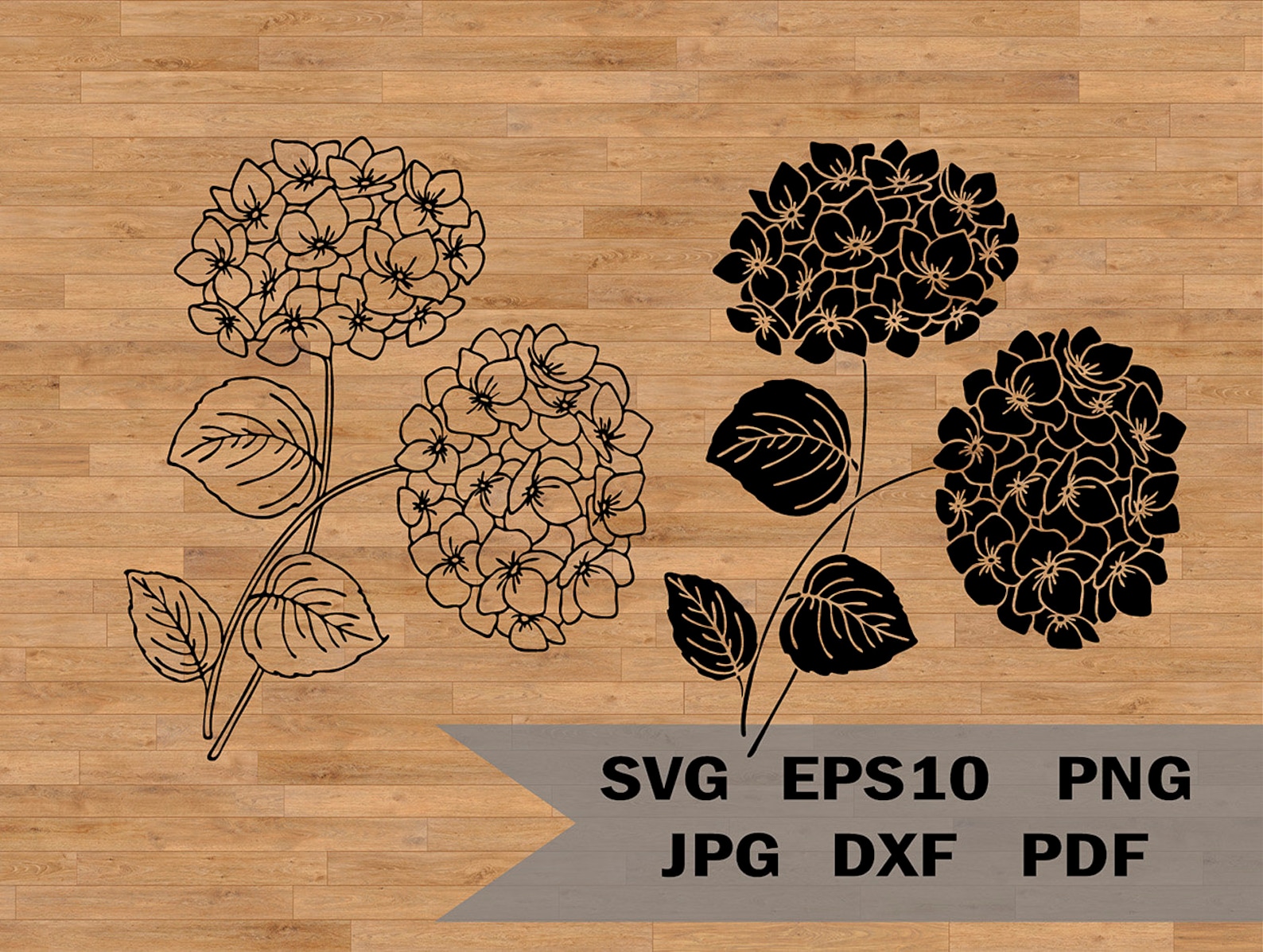 Hydrangea template svg Garden flower SVG cut file Floral | Etsy