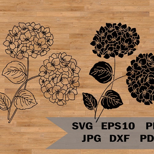 Hydrangea Template Svg Garden Flower SVG Cut File Floral - Etsy