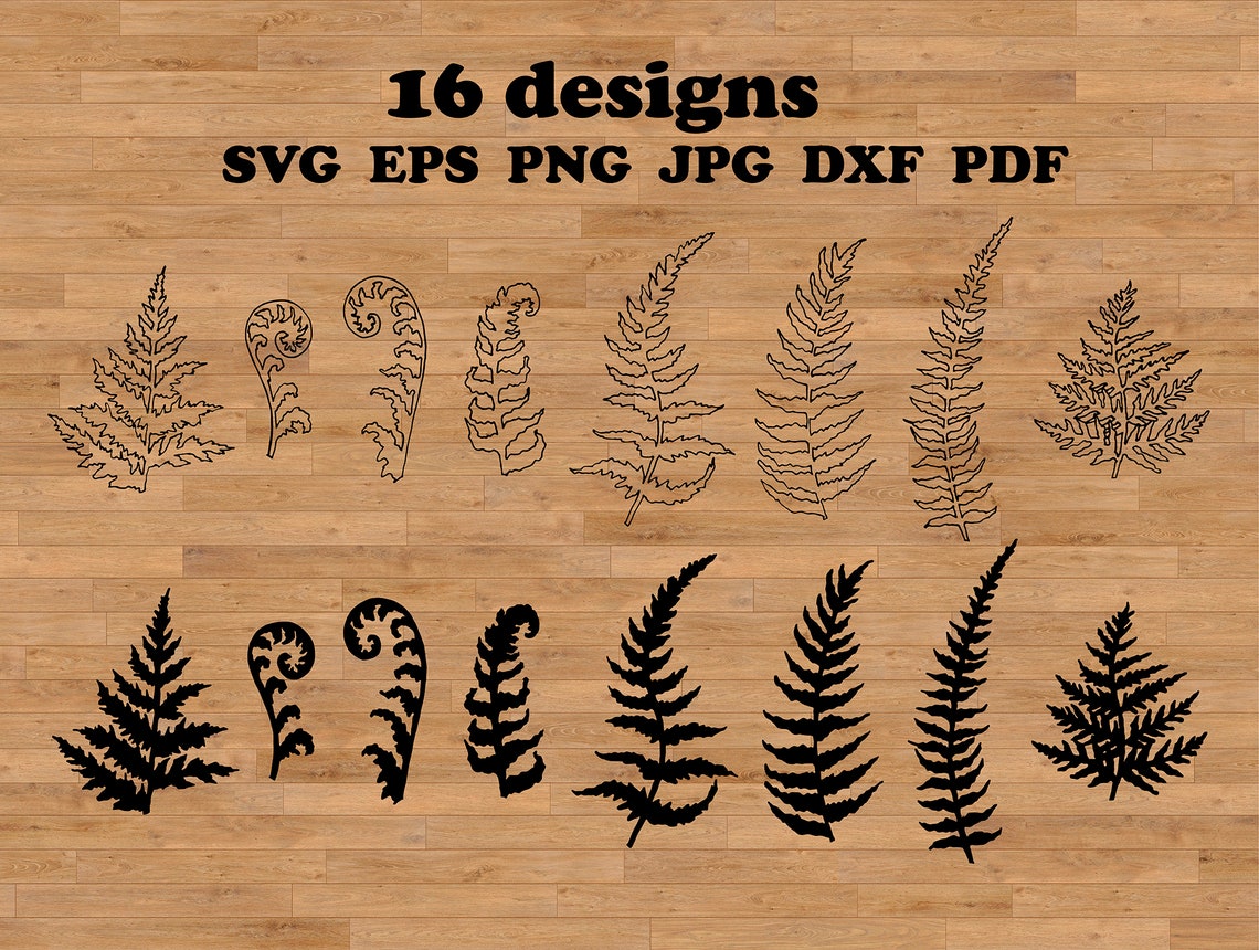 Fern Svg Plant Lover Svg Boho Svg Bundle Tropical Leaf Svg - Etsy