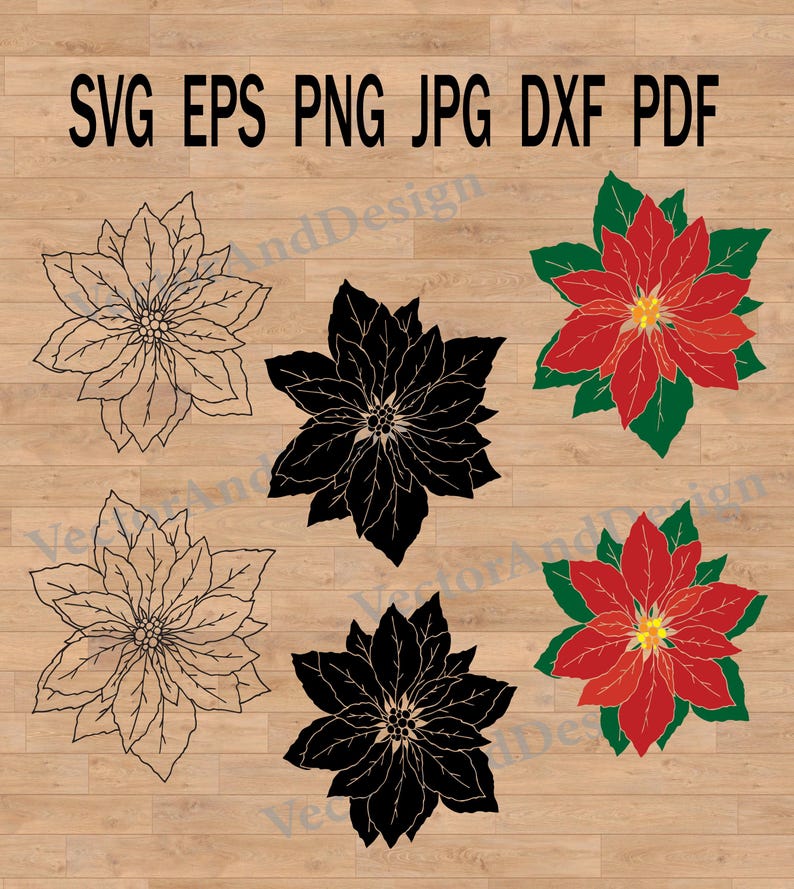 Poinsettia Template Svg, Christmas Flower Stencil, Sets in SVG, Cutting ...