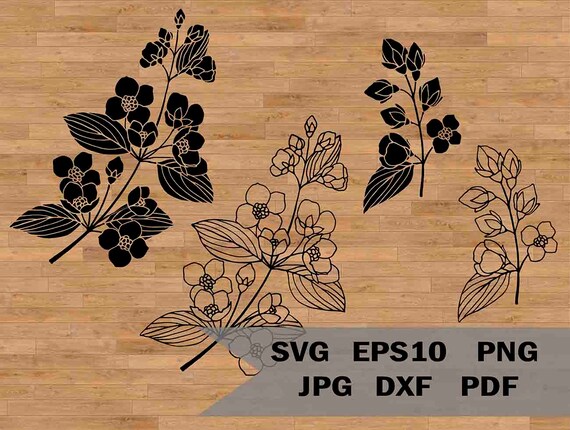 Jasmine flowers template svg Gardening flower svg flower | Etsy
