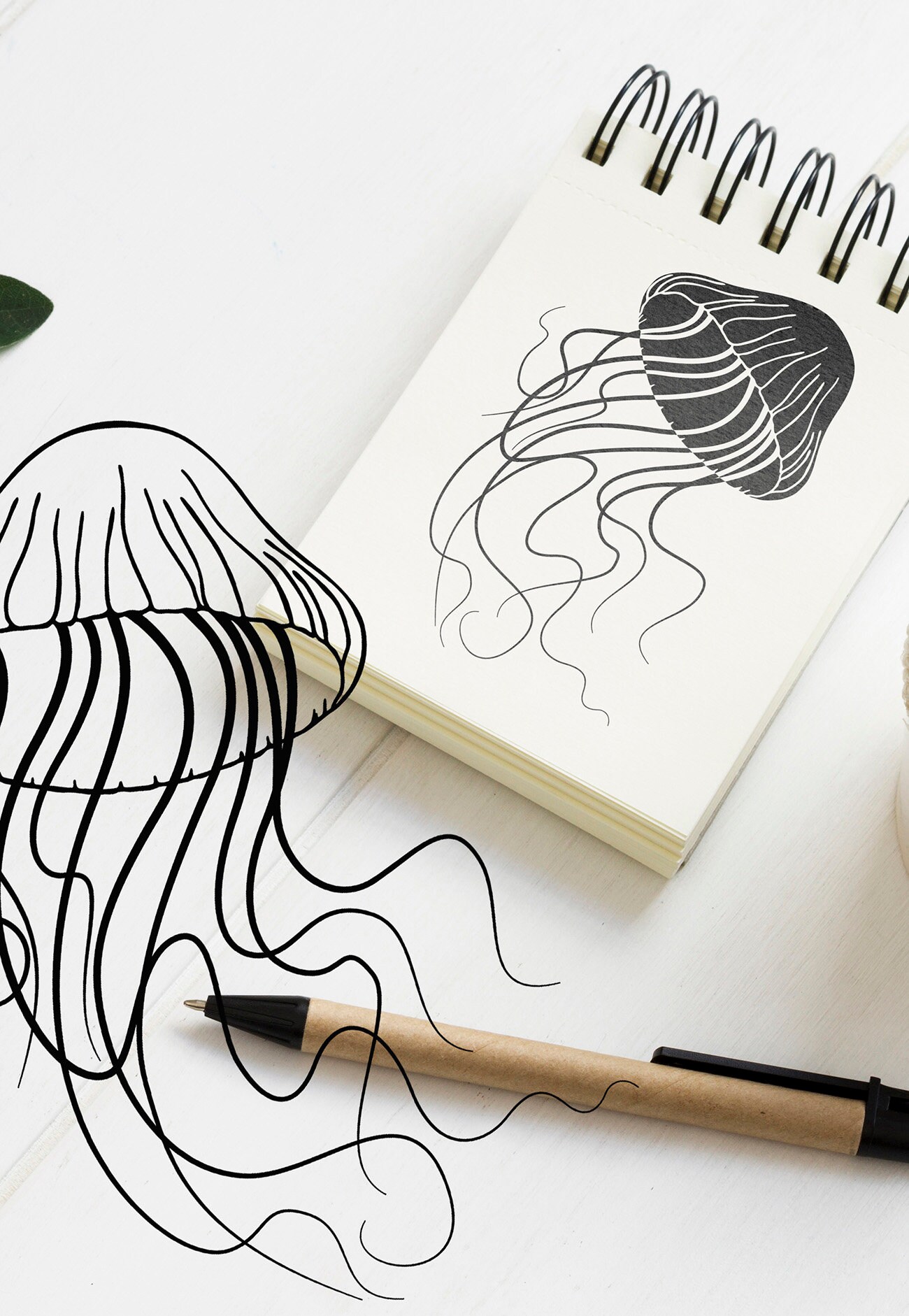 Medusa Template Svg Printable Jellyfish Medusa SVG Ocean - Etsy