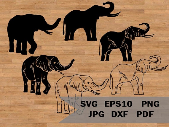 Elephant Template Svg ELEPHANTS SVG BUNDLE Elephants | Etsy