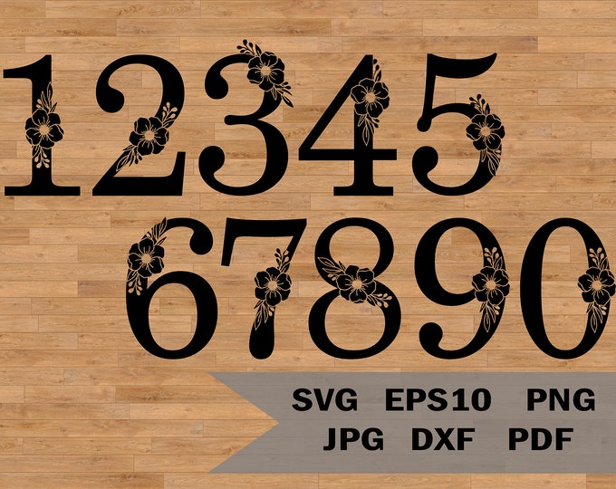 Mandala Numbers SVG, Zentangle Numbers SVG Files for Silhouette Cameo ...