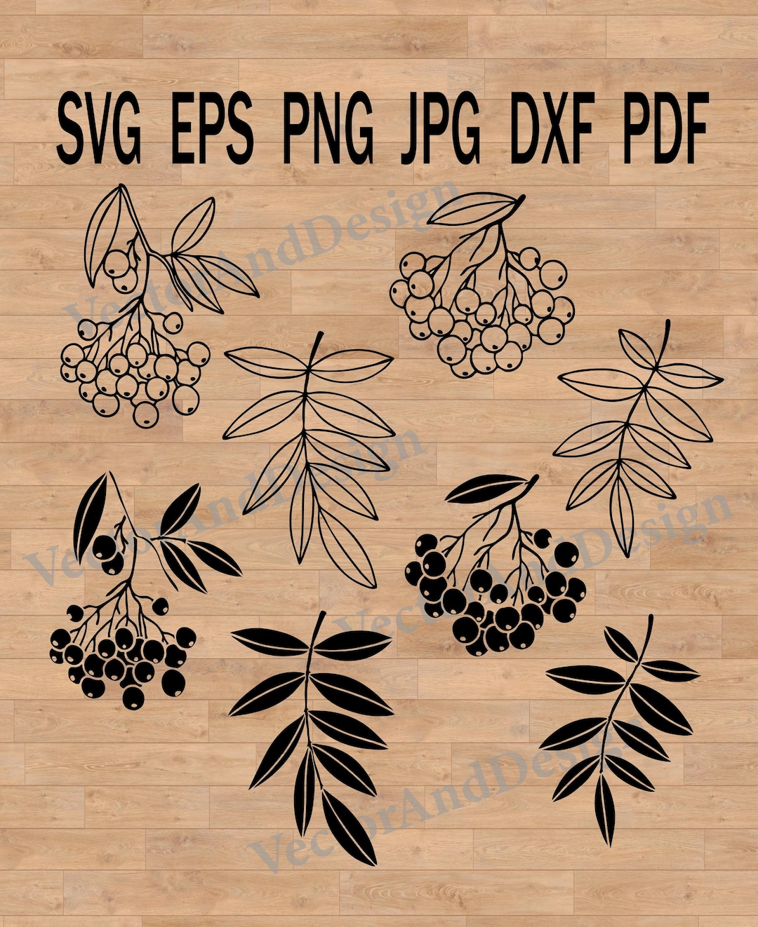 Rowan Svg, Berries Silhouette Template, Tree Branch Autumn Cutting ...