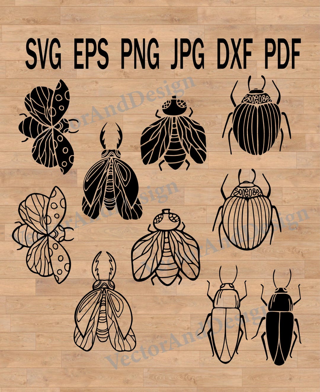 Insects Template Svg, Beetle Clipart, Fly Stencil Cut Files for ...