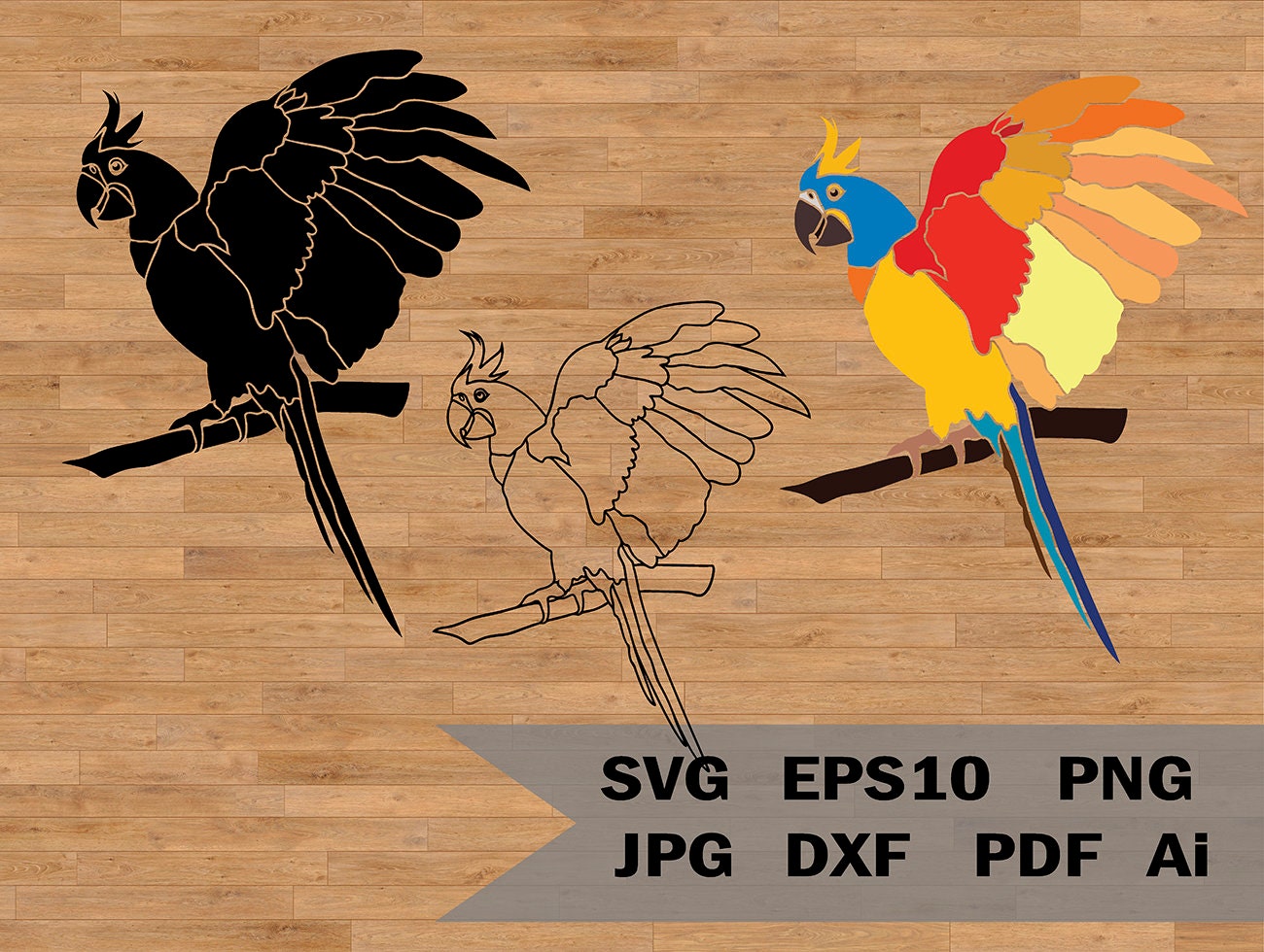 Parrot template svg Tropical Parrot Bird Stencil Image | Etsy