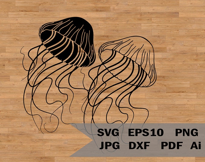 Medusa Template Svg Printable Jellyfish Medusa SVG Ocean - Etsy